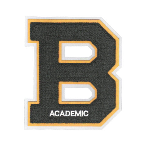 Chenille Single Varsity Letters | The Nixon Company